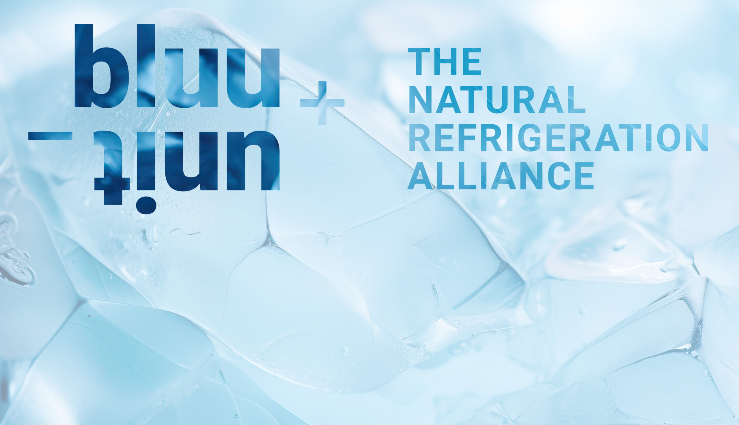 UNIT08 und apk lassen den Kälte- und Klimaspezialist bluu unit pulsieren - Wirtschaftskraft